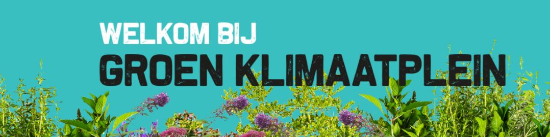 Groen Klimaatplein bij Groencentrum Witmarsum - Groencentrum Witmarsum