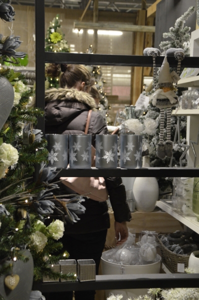 Bezoek de kerstshow bij Groencentrum Witmarsum nabij Friesland ...