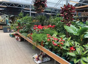 Vacatures Groencentrum Witmarsum - Groencentrum Witmarsum