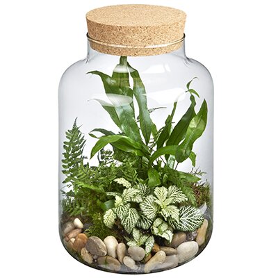 Arrangementen - Groencentrum Witmarsum