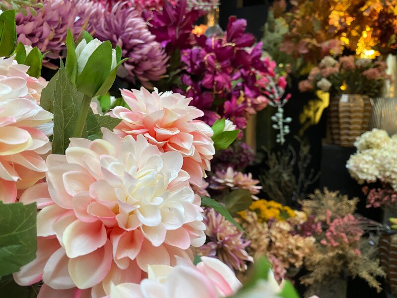 Zijdebloemen & Zijdeplanten - Groencentrum Witmarsum